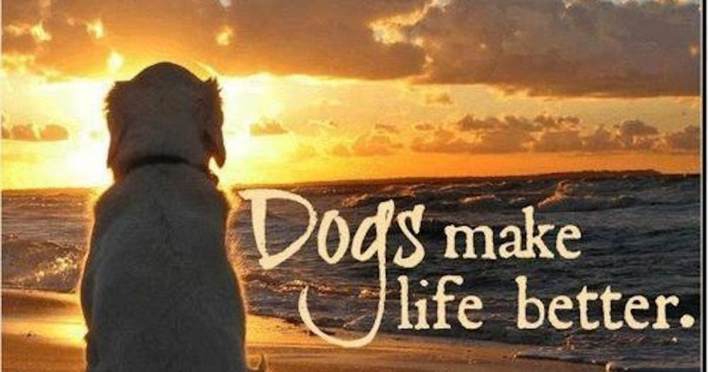 10 Things Dogs Teach Us About What Matters Most In Life