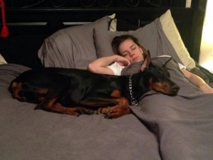 15 Signs You're A Crazy Doberman Person... and Damn Proud To Be!