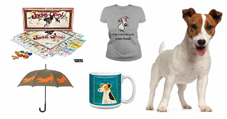 20 Items That All Jack Russell Lovers Need To Have
