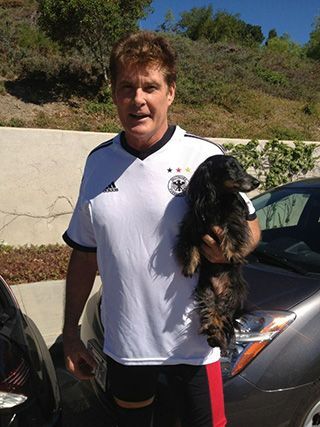 13 Celebrity Dachshund Owners