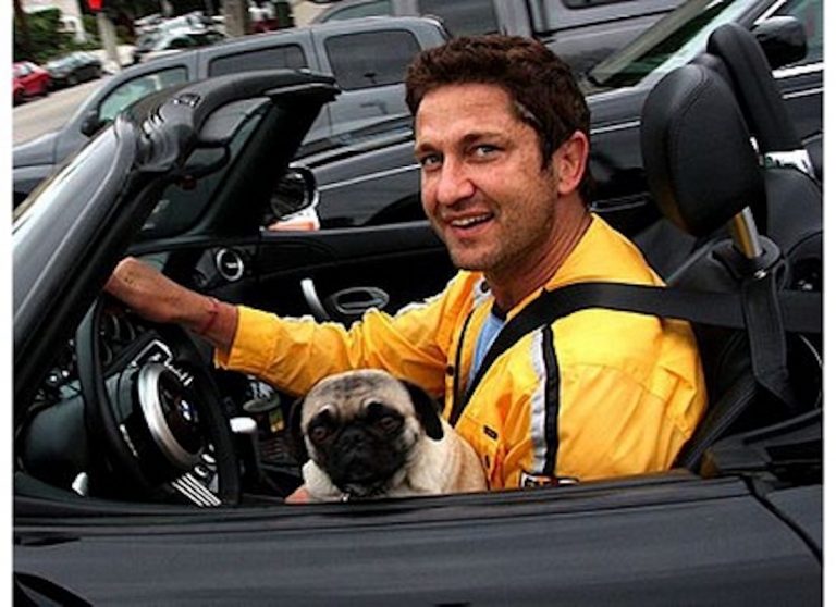 24 Celebrity Pug Owners