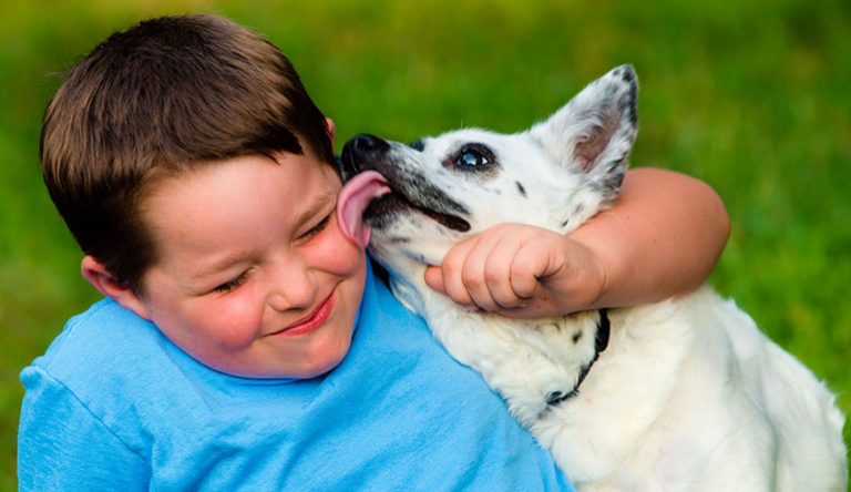 7 Surprising Reasons Why Dogs Lick Human Beings And What It Means