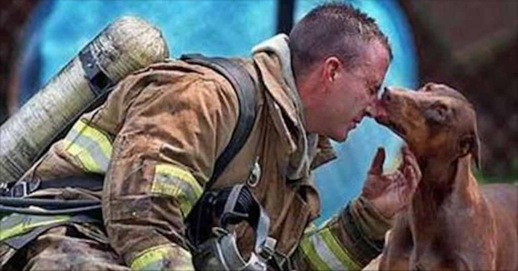 10+ photos of firefighters saving animals that will warm your heart