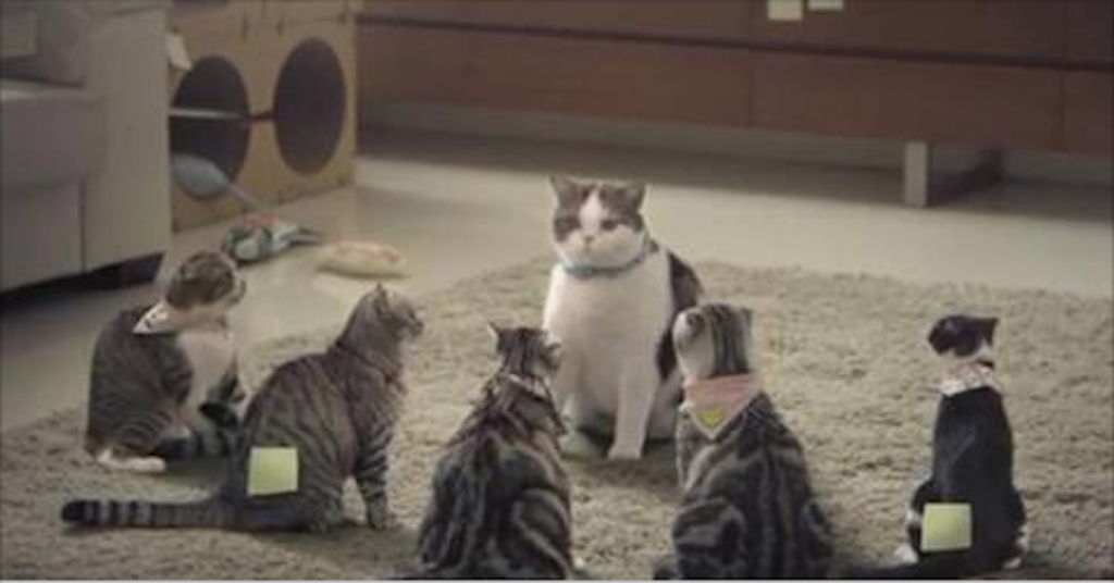 Company Employed Gangster Cats For Their Commercial And Is The Funniest ...