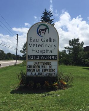 10+ Genius Vet Signs That Will Make You Laugh