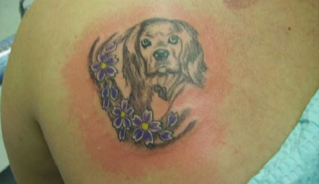 The 14 Coolest Cocker Spaniel Tattoo Designs In The World