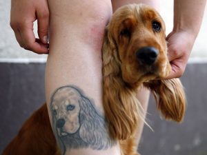 The 14 Coolest Cocker Spaniel Tattoo Designs In The World