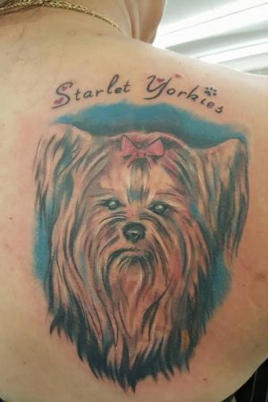 The 9 Coolest Yorkshire Terrier Tattoo Designs In The World