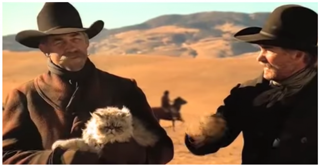 Hunky Cowboys Herding Cats In Laugh-Out-Loud Commercial Is The Best ...