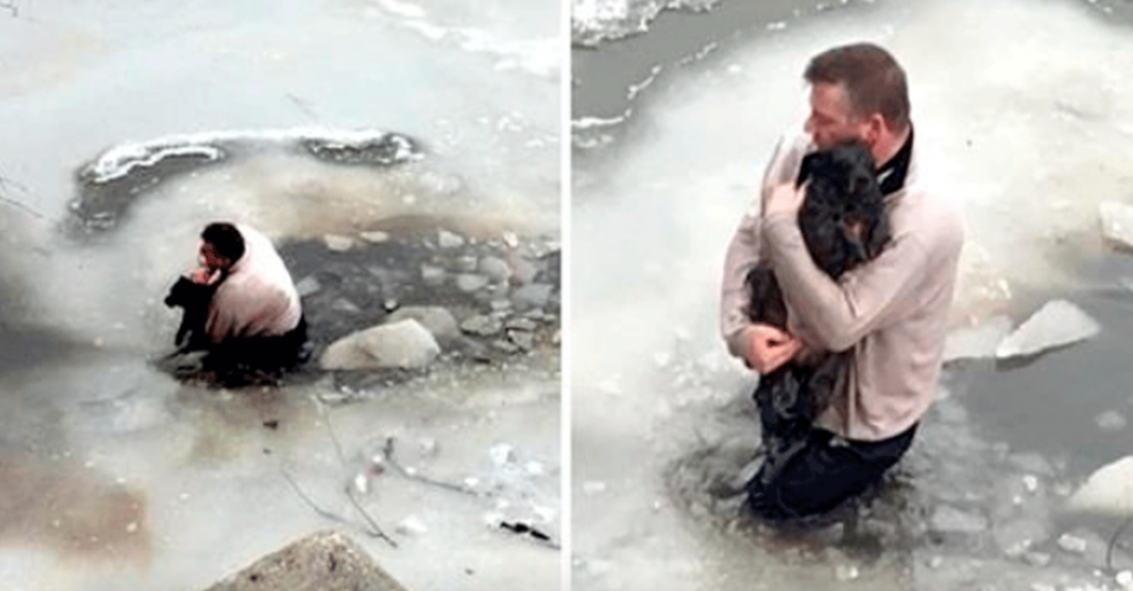 Man Sees Terrified Dog Stuck In Frozen Waters, Risked His Life And ...