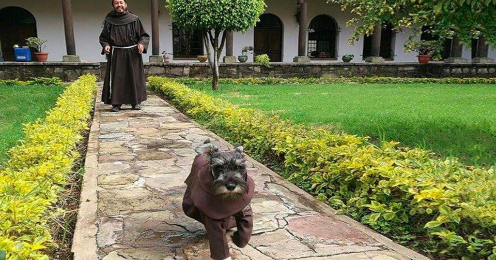 Monastery Adopts Stray Dog and Names Him ‘Friar Mustache’