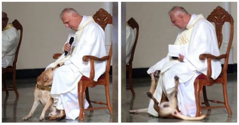 Priest’s Sermon Interrupted By Dog, His Attitude Toward Him Is ...