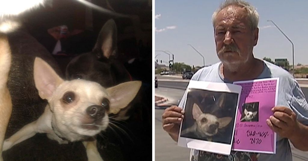 Distraught Man Frantically Searching For Lost Dog Offers His Own Home ...
