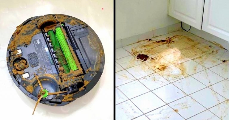 Roomba Tries Cleaning Dog Poop And Makes An Epic Mess, Now Dad Has To ...