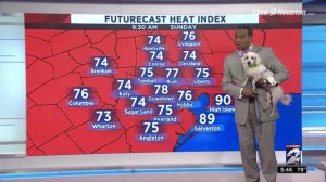 Dog Hilariously Crashed Live Weather Forecast And The Weatherman Warmly ...