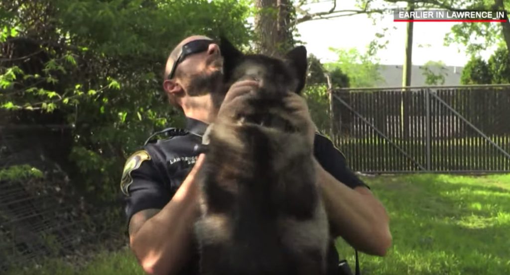 Police Rescue Dog Tied To A Fence, And One Cop Adopts Him As His Own
