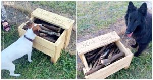 Crafty Man Builds ‘Stick Library’ For All Pups To Enjoy At New Dog Park
