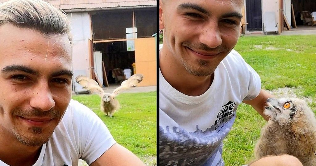 Baby Owl Hears Man Whistling His Favorite Tune, Comes Running Into Man ...