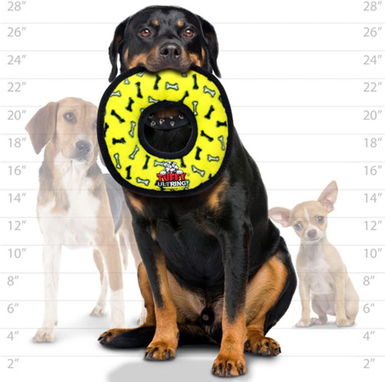 The 10 Best Dog Toys, According to Our Fans