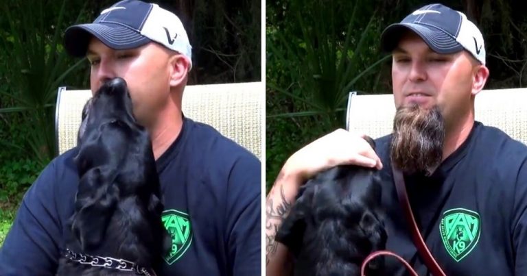 Service Dog Calms Veteran With Survivor Guilt Before He Can Have A ...