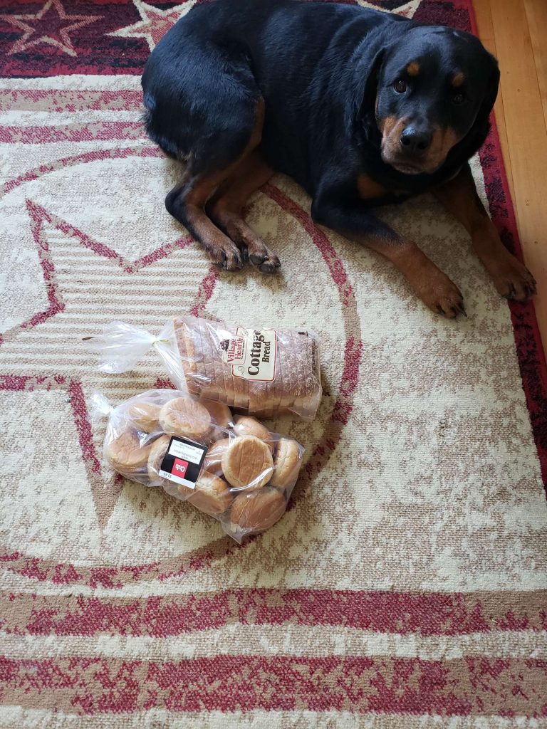 Guard Dog Gathers And Protects Family’s Bread When They Leave The House