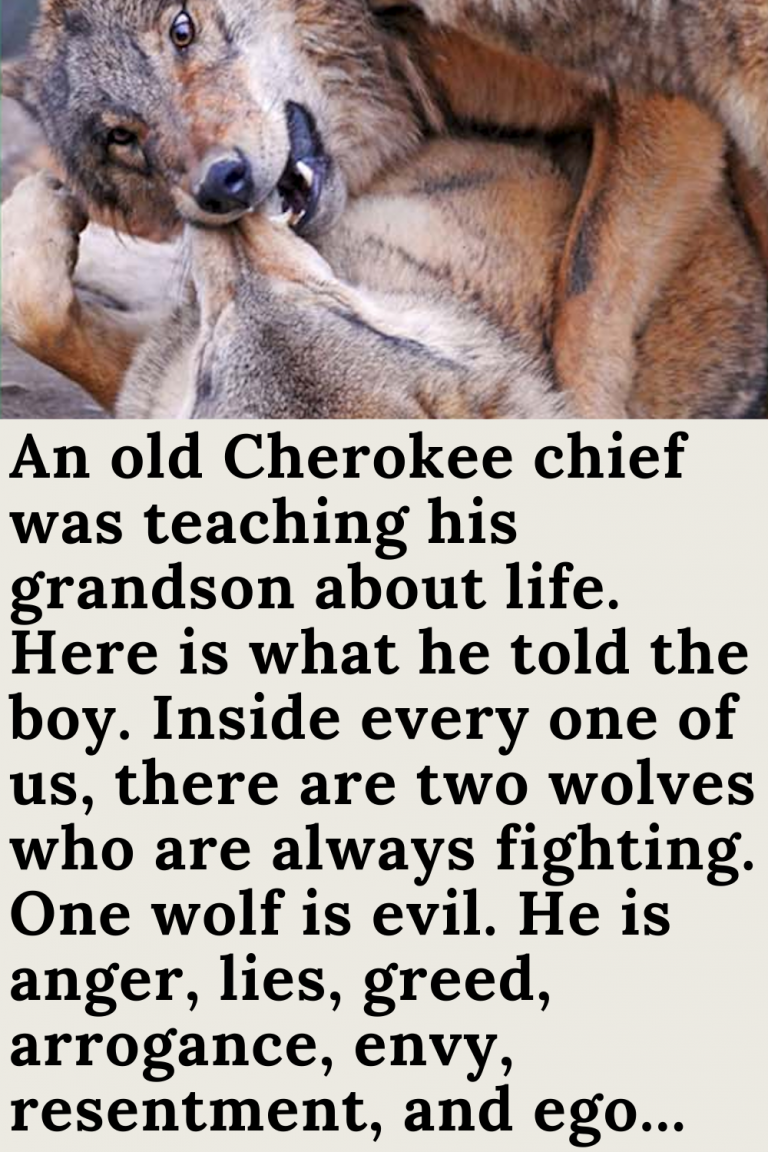 Native American Wisdom: The Two Wolves