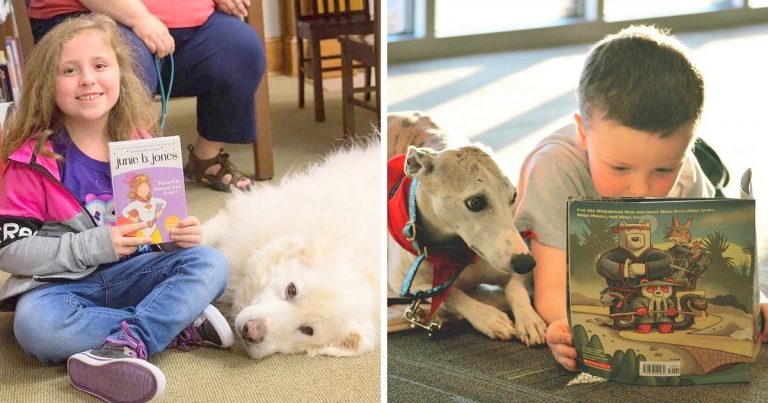Program Lets Kids Read To Therapy Dogs To Beat Shyness & Improve ...