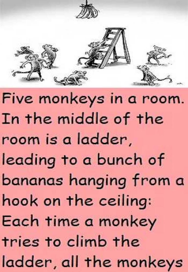 The Five Monkeys Experiment And Life Lesson