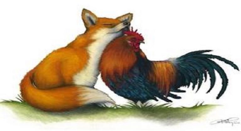 The Fox & The Rooster – Aesop
