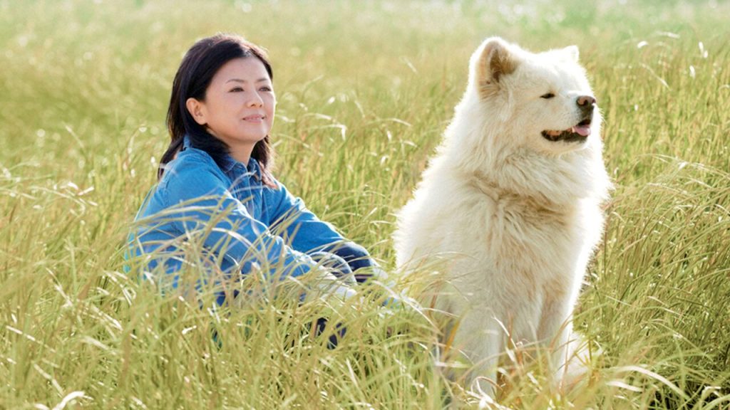 Netflix Dog Films PAWr Everyone: Kids, Paw-Buddies, and You