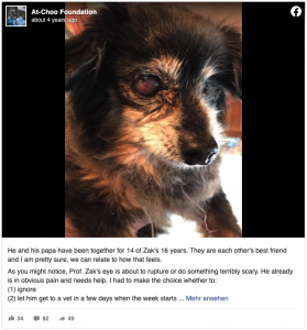 Man Dies After Losing His Beloved Dog Of 14 Years