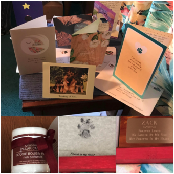 Man Dies After Losing His Beloved Dog Of 14 Years