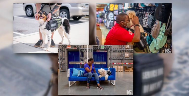 PAWS Act Signed, VA Assists Veterans in Adopting Service Dogs