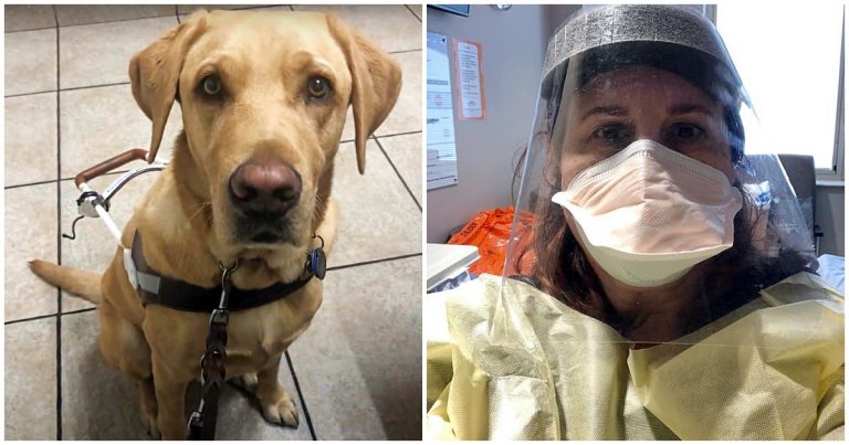 When A Patient Is Hospitalized, A Nurse Goes Above And Above To Care ...